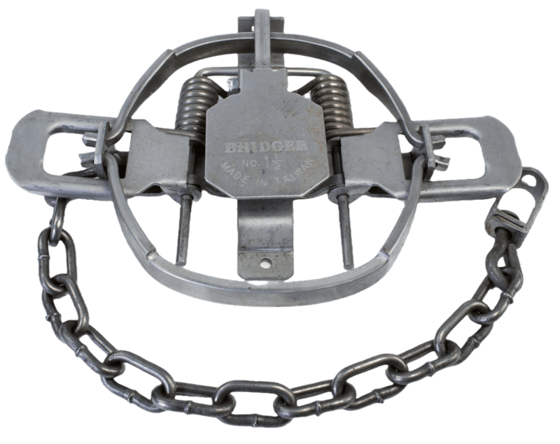 Coil Spring Traps for Sale | Reliable Foot Hold Traps