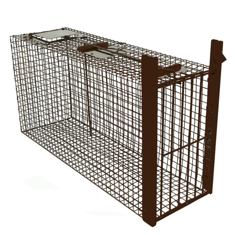 Z Trap Pro Bobcat Cage Trap - Murray's Lures & Trapping Supplies
